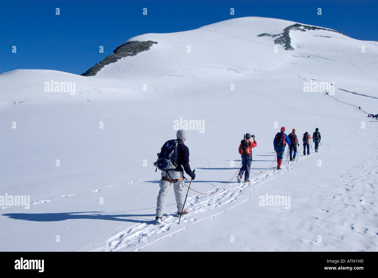 mountaineers hiking over a glacier towards Breithorn 4164 m Zermatt ...