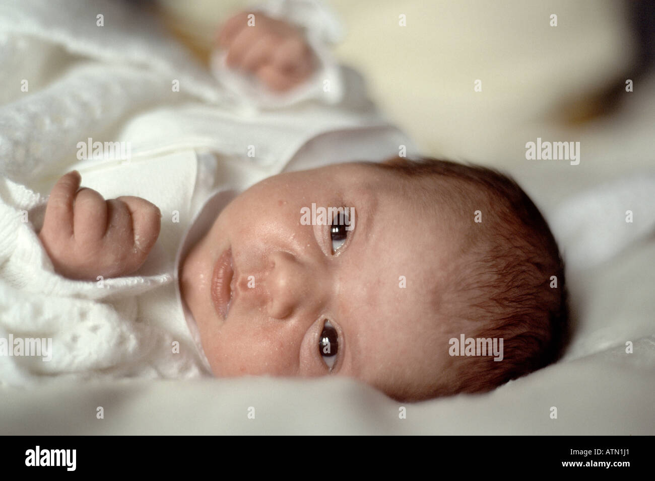 Milk spots hi-res stock photography and images - Alamy
