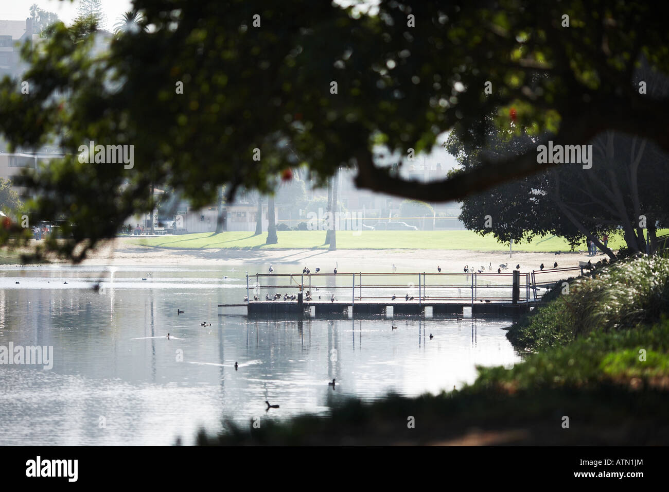 Del rey lagoon hi-res stock photography and images - Alamy