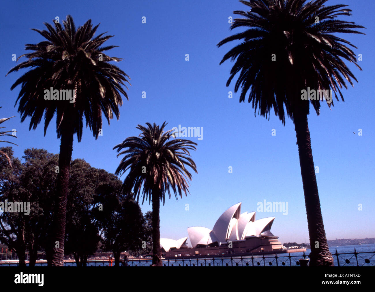 Sydney Opera House from a distance Stock Photo - Alamy