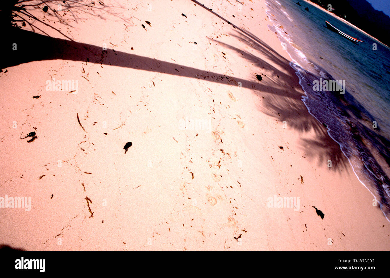 Palm tree shadow on beach in Thailand Stock Photo - Alamy