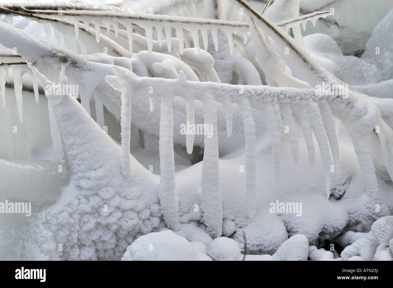 Fantastic winter background landscape nice white snowy icicle Stock ...