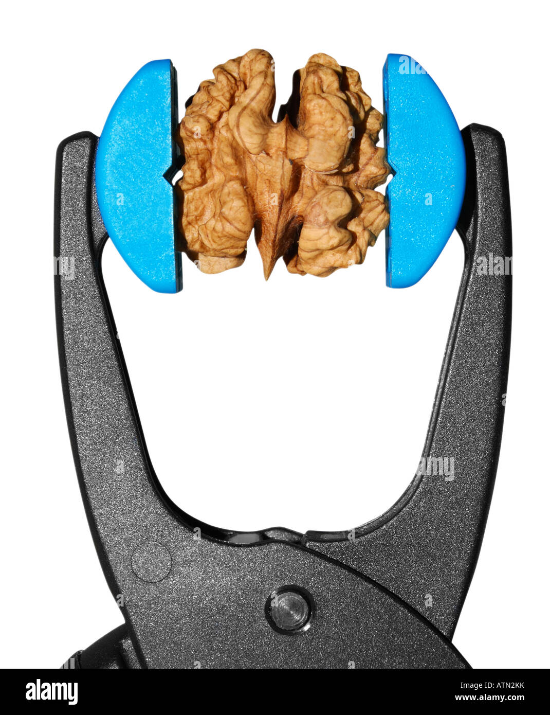nut in grip vice Stock Photo - Alamy