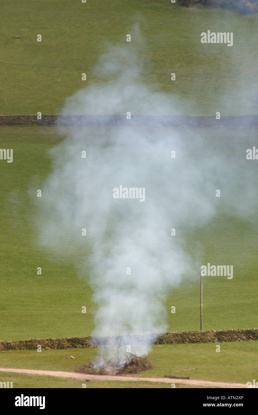 white smoke smoking burning brush wood field fire Stock Photo - Alamy