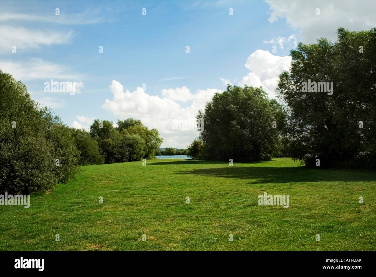 Open grassy hi-res stock photography and images - Alamy