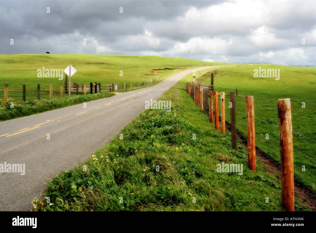 Point Reyes, California after a spring storm with moody sky Stock Photo ...