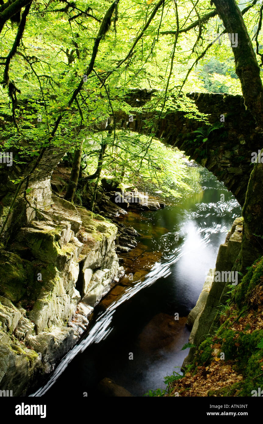 The River Braan flows through woodland under an old stone bridge south ...