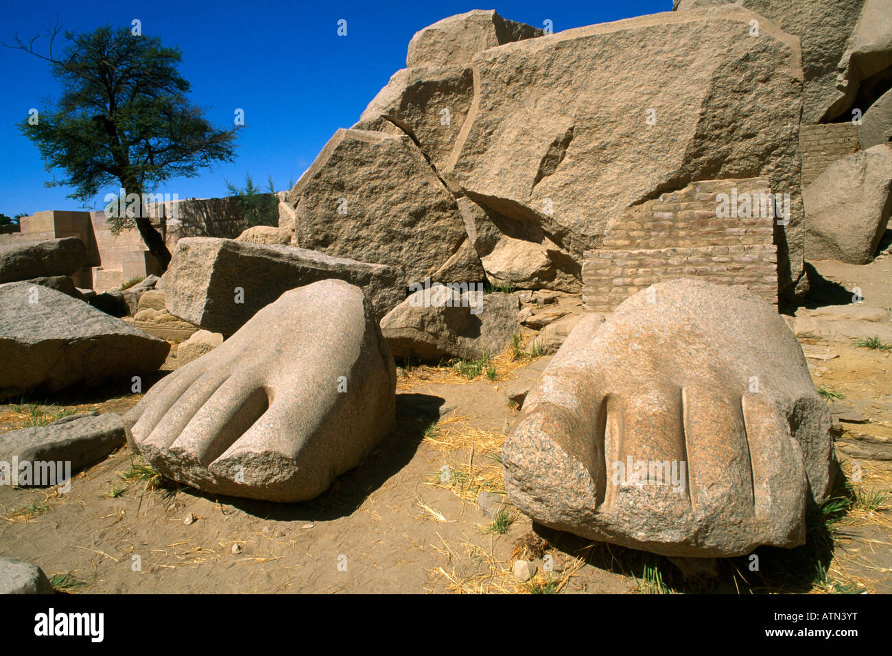 Luxor Ramesseum Egypt The Feet of the Colossus Rameses II Stock Photo ...