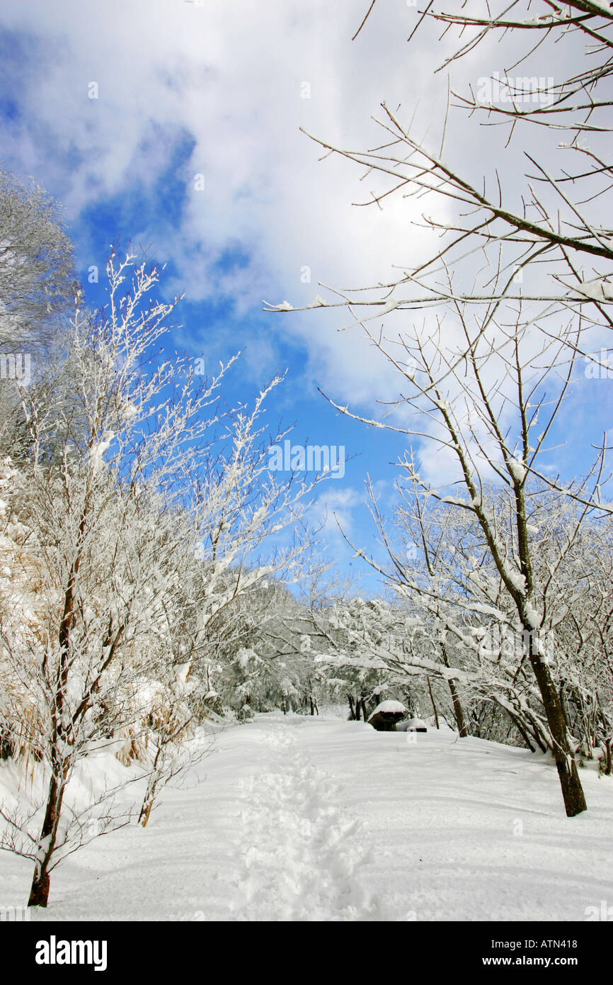 Winter scene with snow and ice and brilliant blue sky Mt Kongo Osaka ...