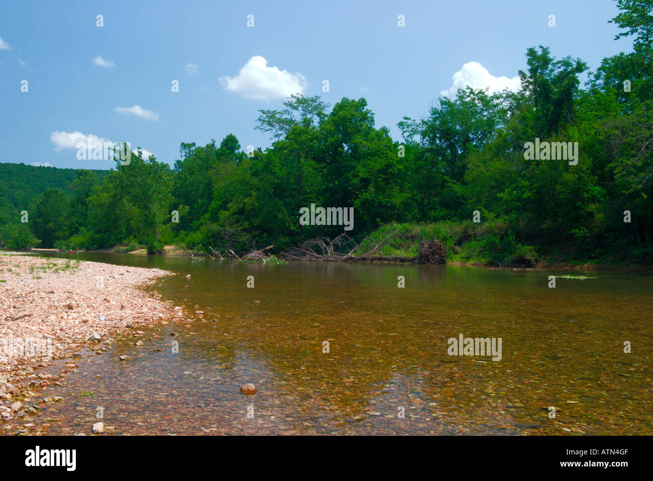 Shannon national park hi-res stock photography and images - Alamy