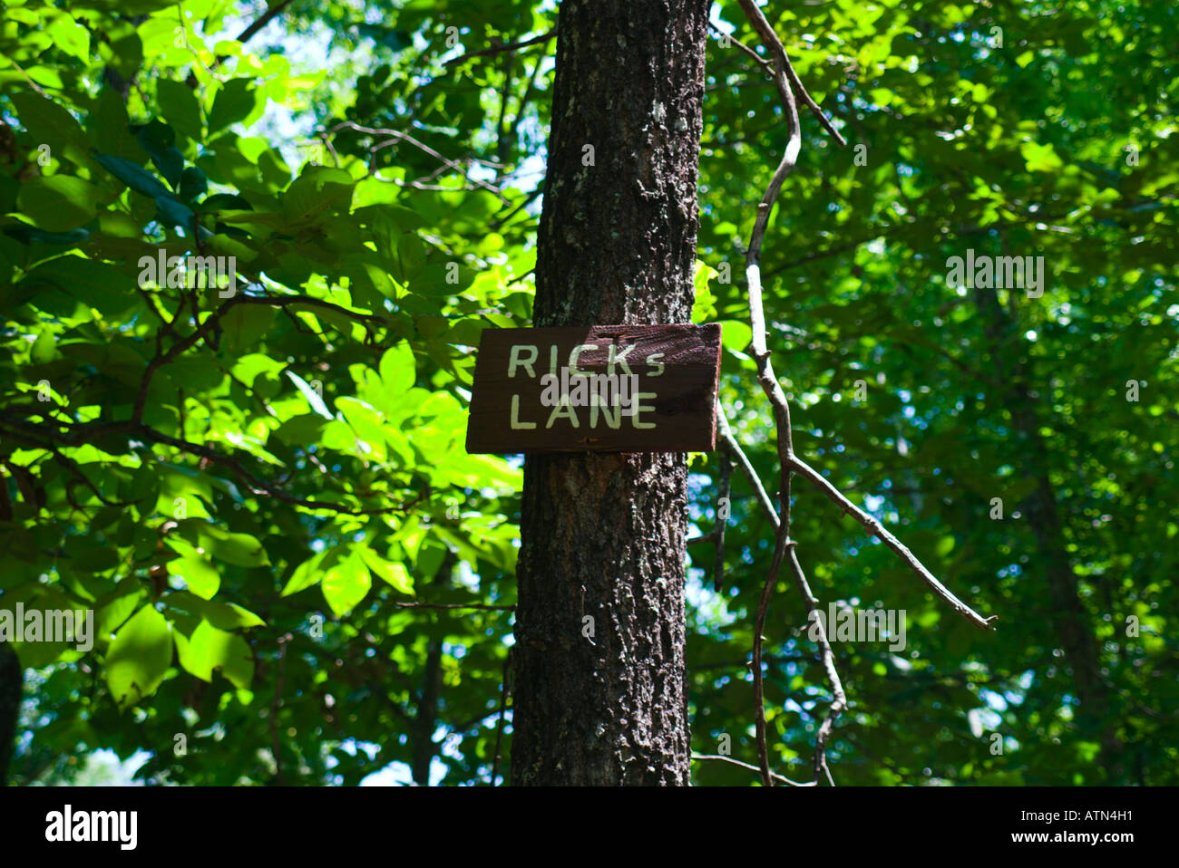 Rick lane hi-res stock photography and images - Alamy
