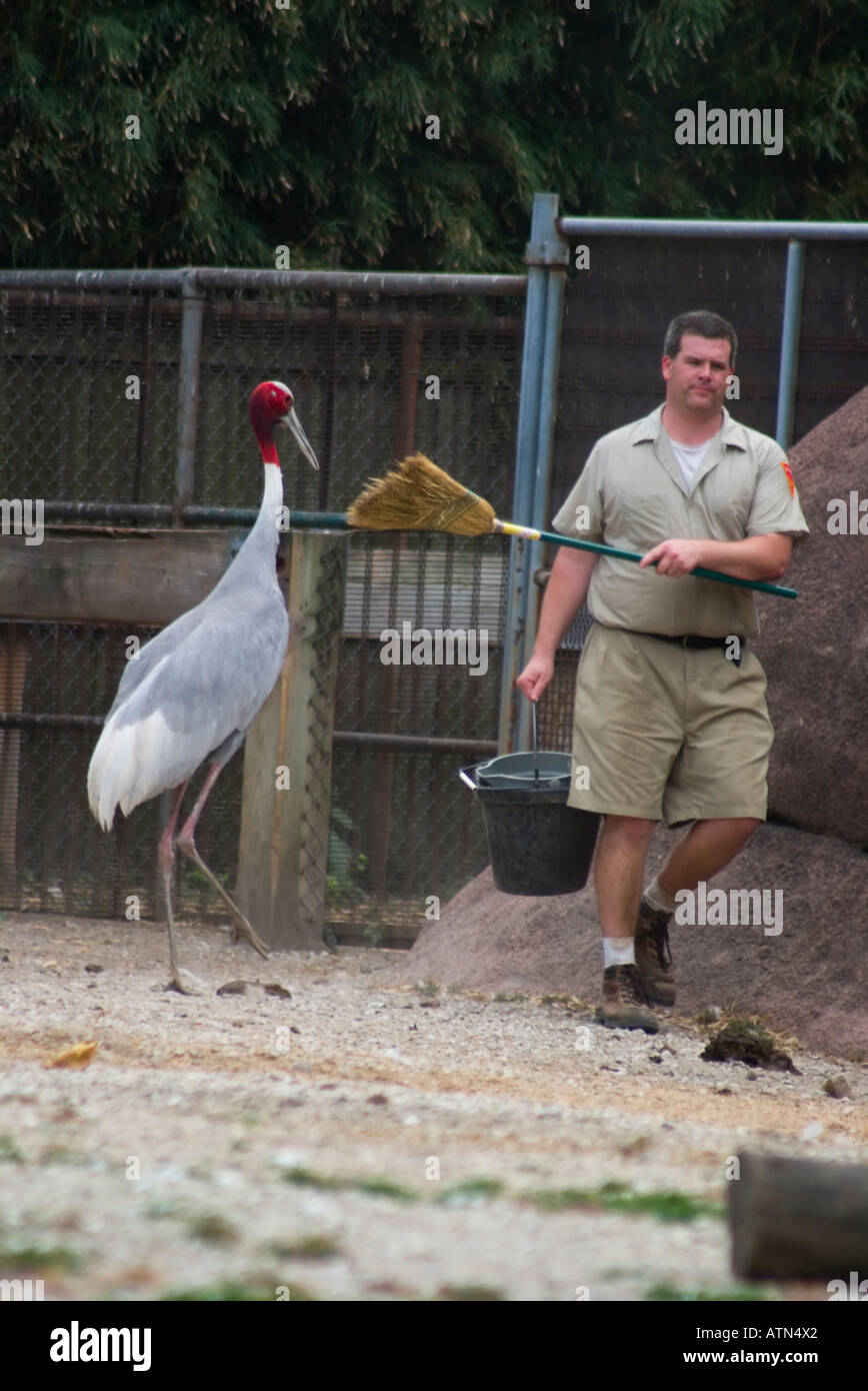 Crane missouri hi-res stock photography and images - Alamy