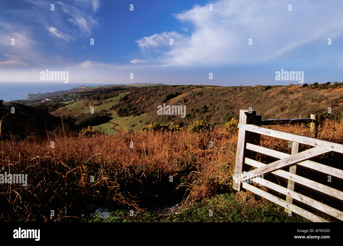 View to the south featuring gate Boniface Down Ventnor Isle of Wight ...