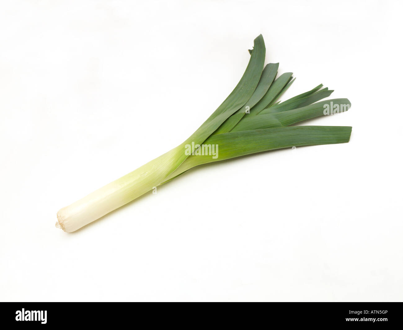 Leek for wales hi-res stock photography and images - Alamy