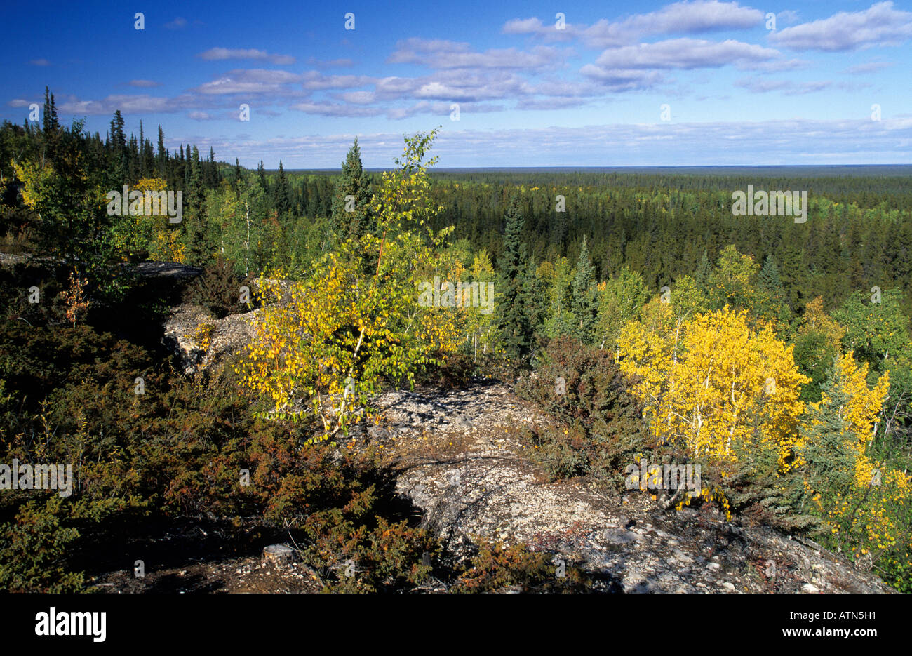 view over the Mackenzie River valley Northwest Territories Canada Stock ...