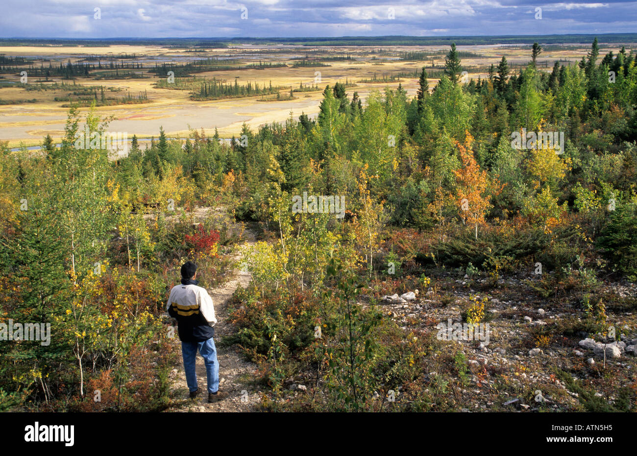 Wood Buffalo National Park Salt Plains High Resolution Stock ...