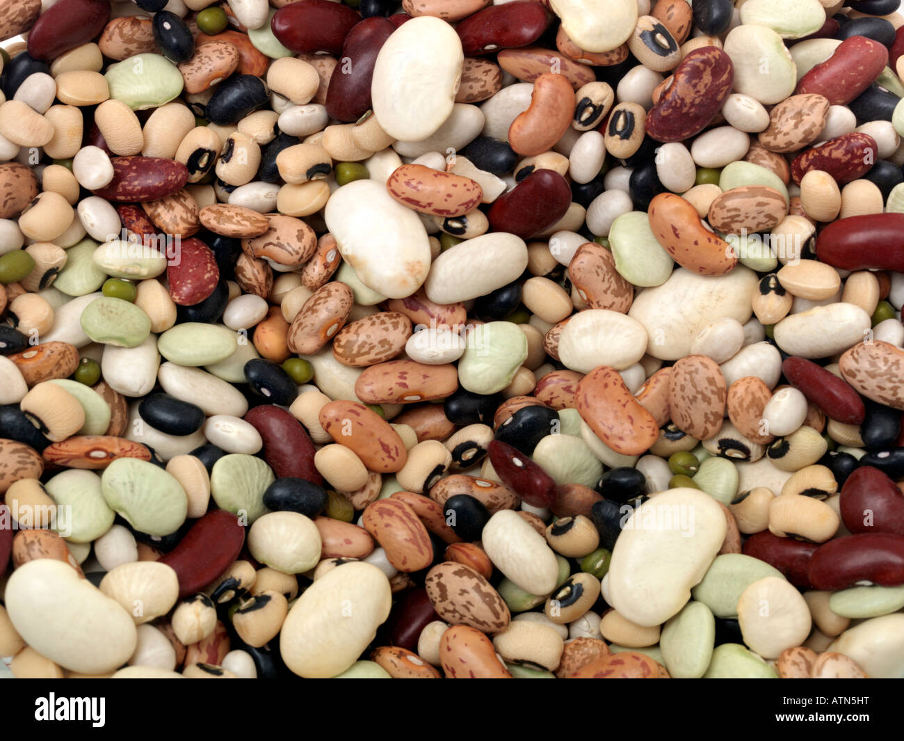 Mixed Beans Eight Varieties Stock Photo - Alamy