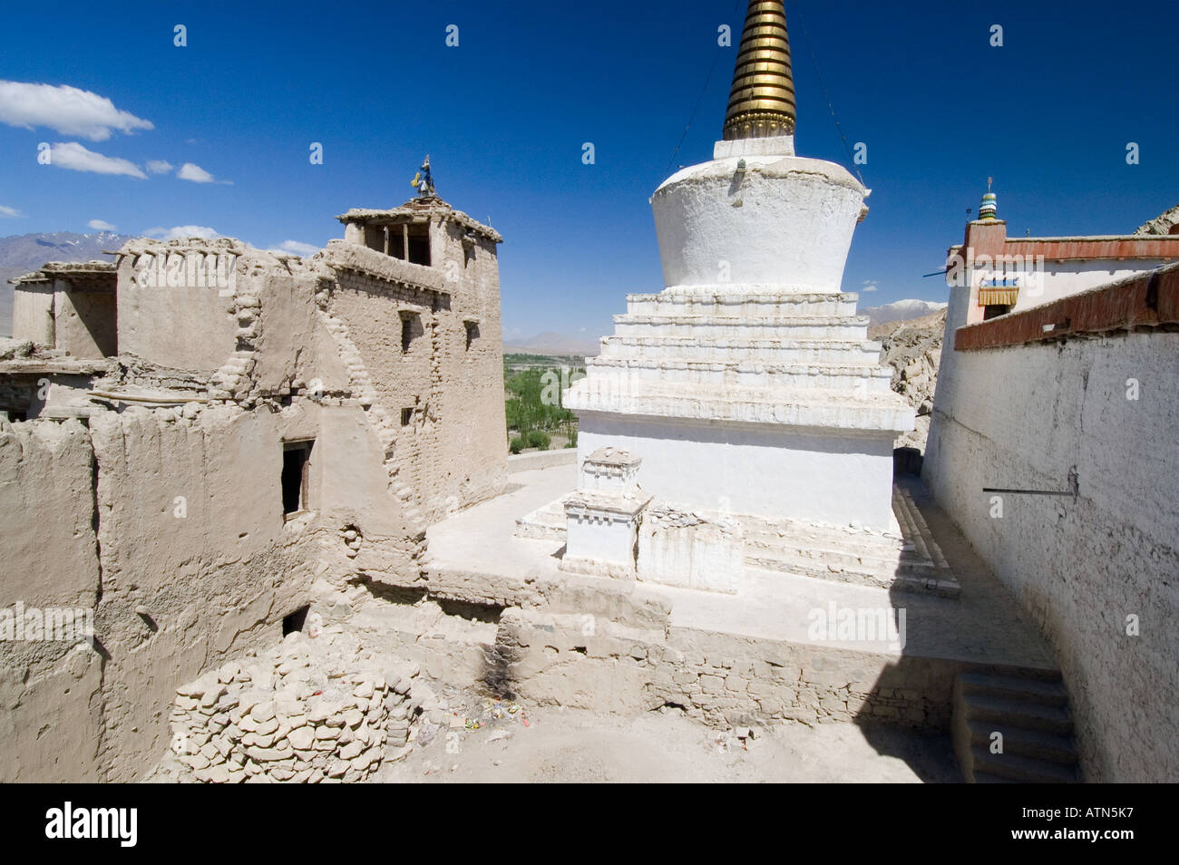 Shey monastery in Ladakh Indus valley Jammu and Kashmir India Stock ...