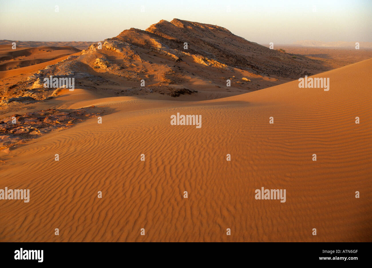 desert in evening light Dubai United Arab Emirates UAE Stock Photo - Alamy