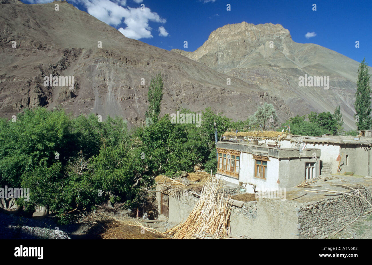 Ladakhi farm hi-res stock photography and images - Alamy