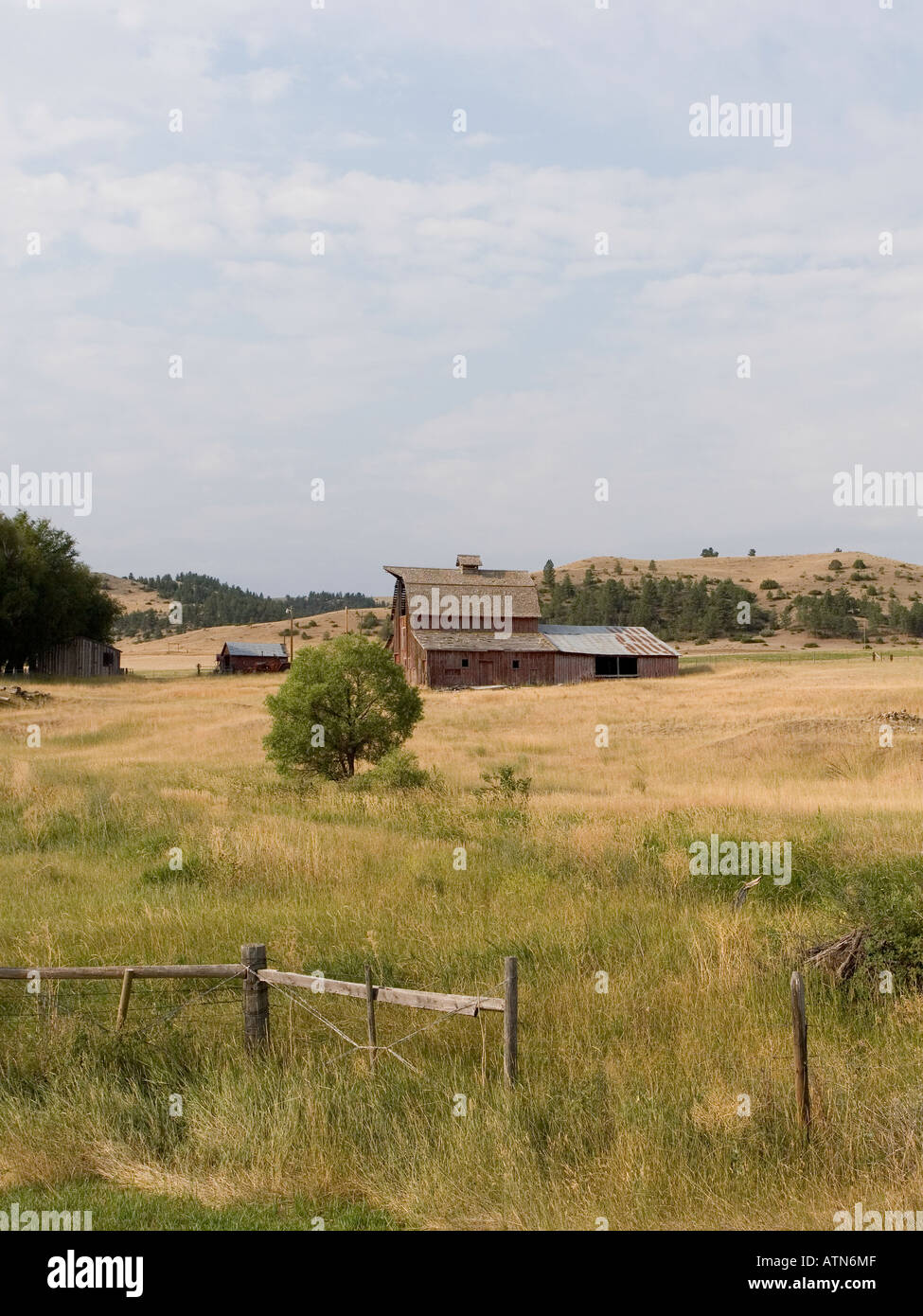 Old Ranch Buildings, Montana Stock Photo - Alamy