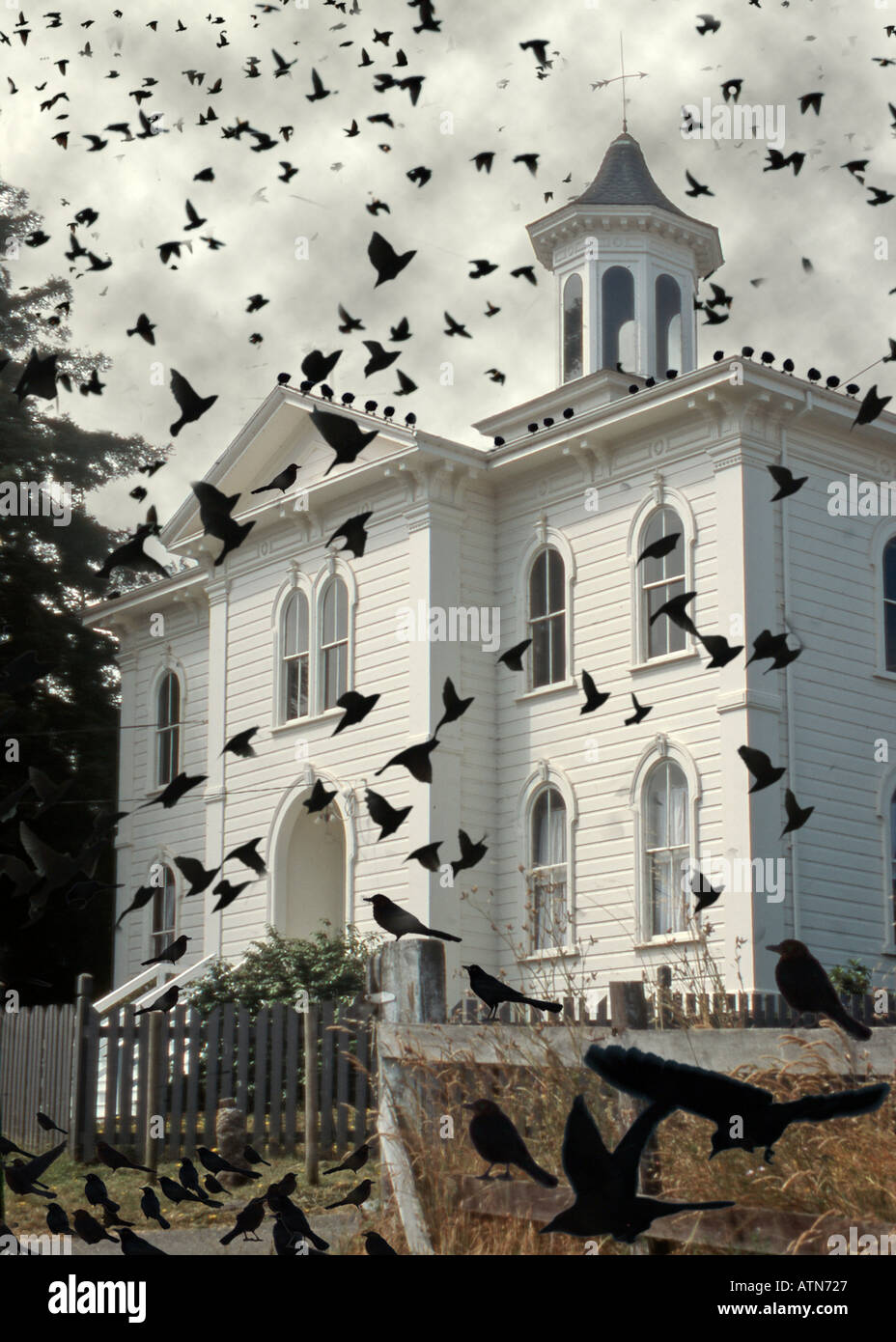Bird swarm before sinister building Stock Photo - Alamy