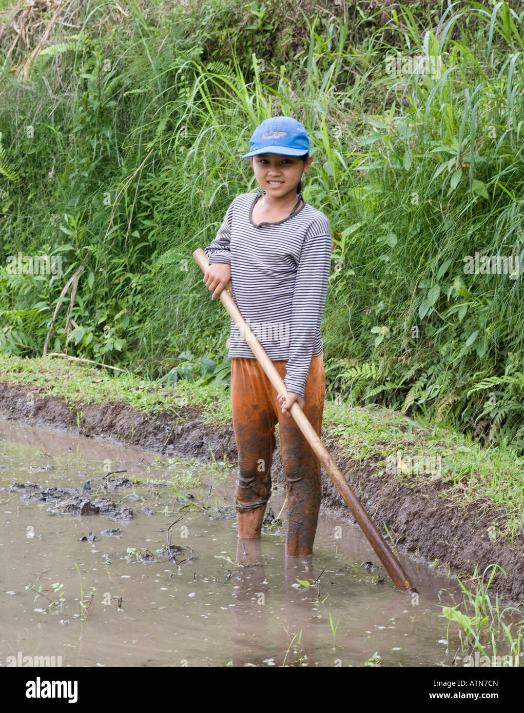 Local Balinese People Working In Rice Paddy Fields Ubud Bali Indonesia ...
