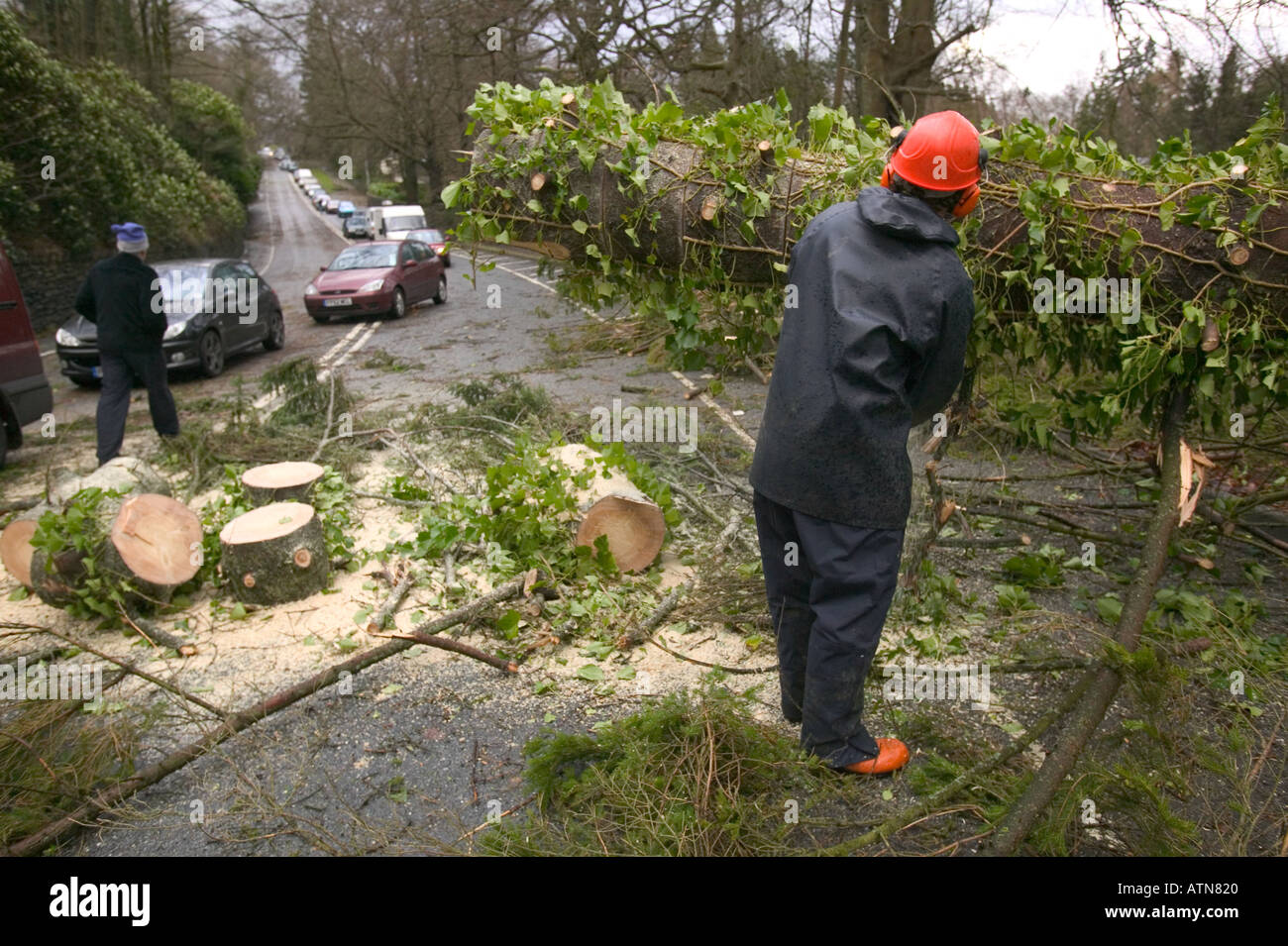 Snapped tree in storm hi-res stock photography and images - Alamy