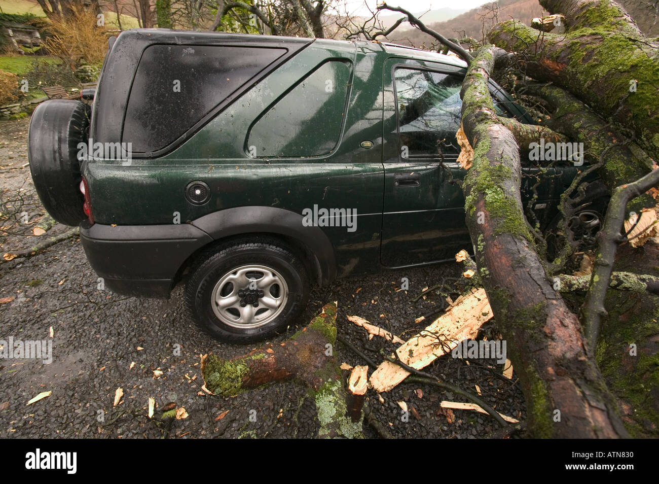 Car crushed by a tree hi-res stock photography and images - Alamy