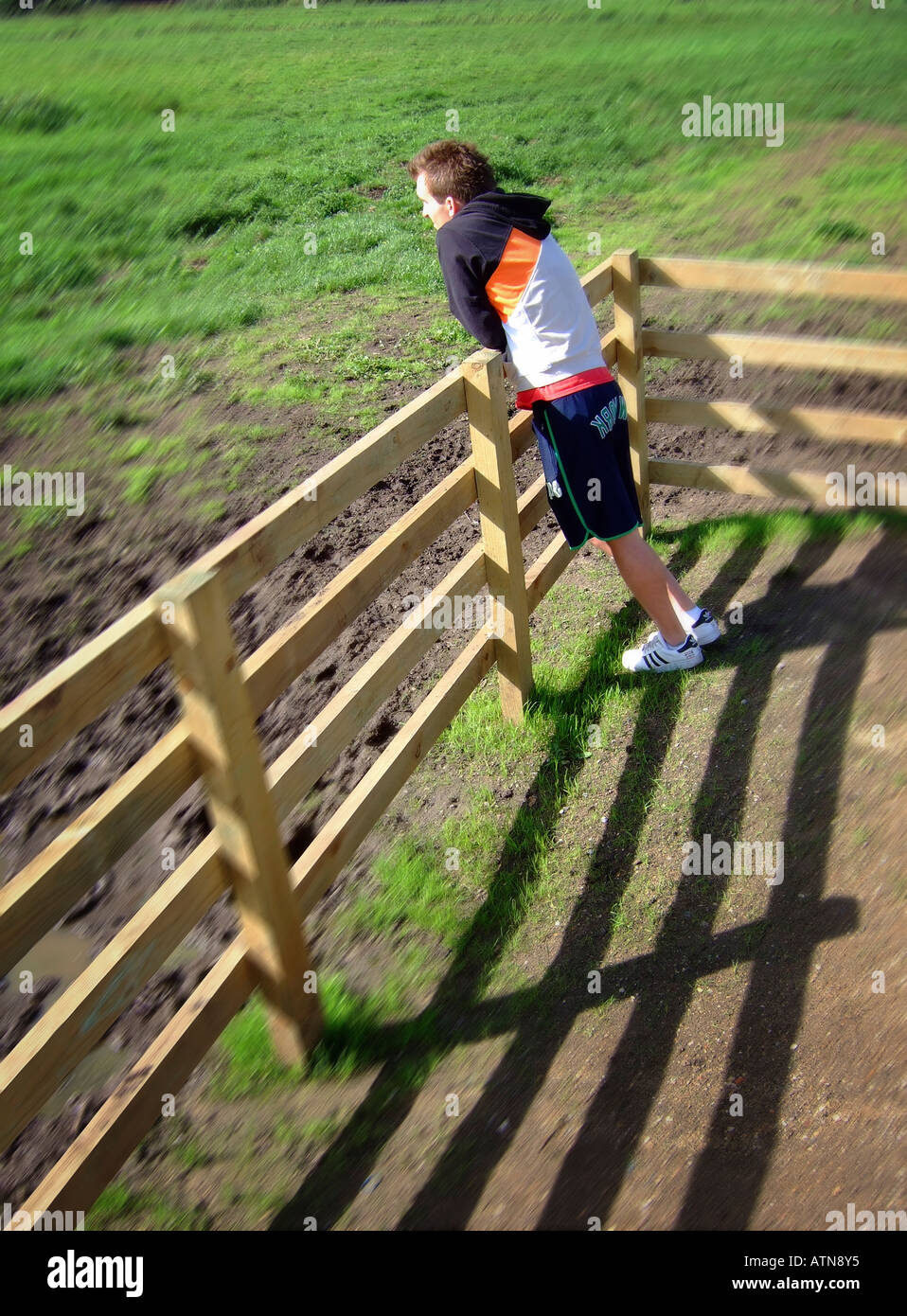 Young man leaning on wooden fence Stock Photo - Alamy