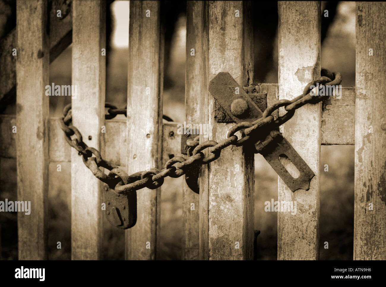 Chain on gate hi-res stock photography and images - Alamy