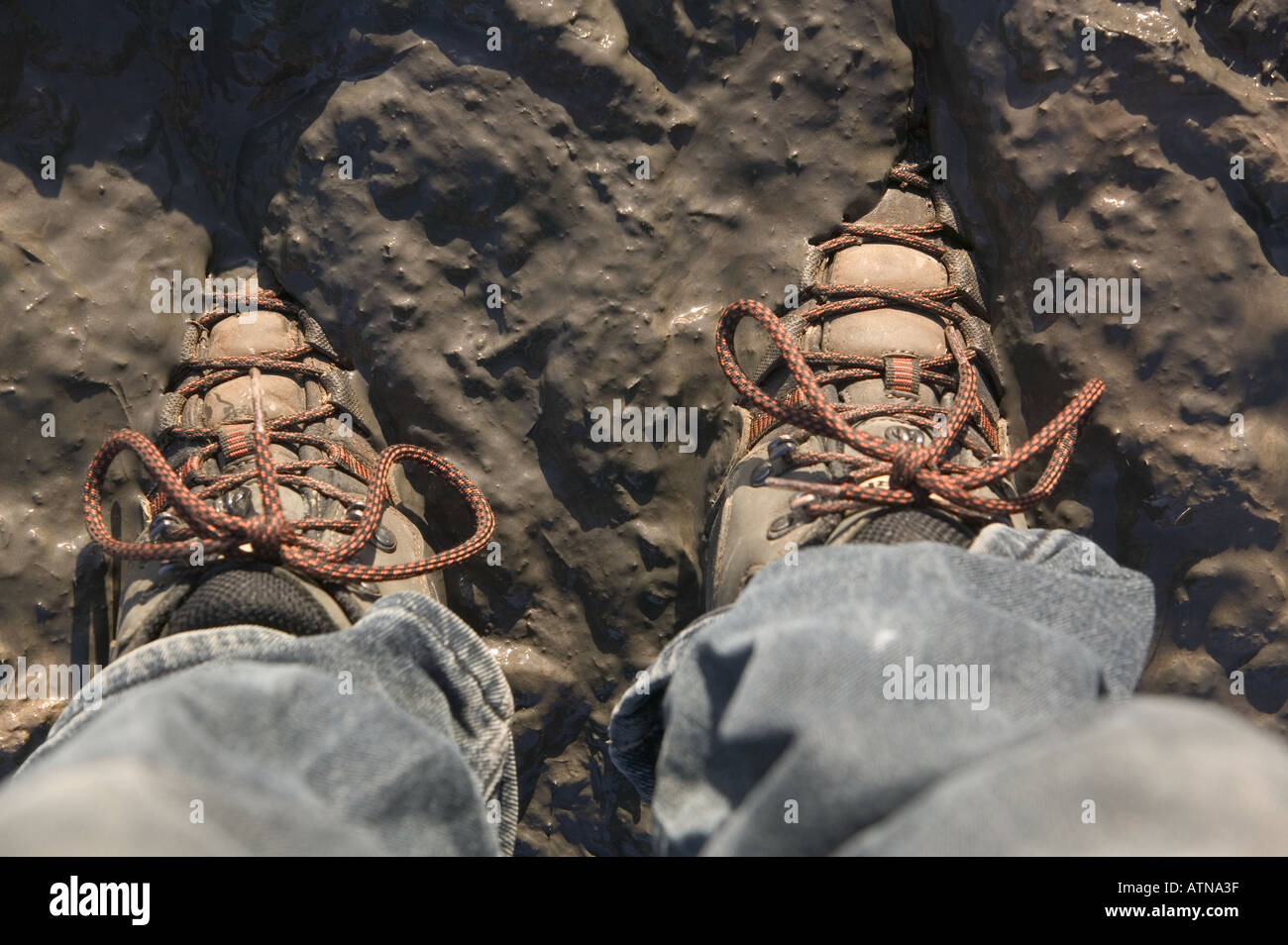 boots stuck in mud Stock Photo - Alamy