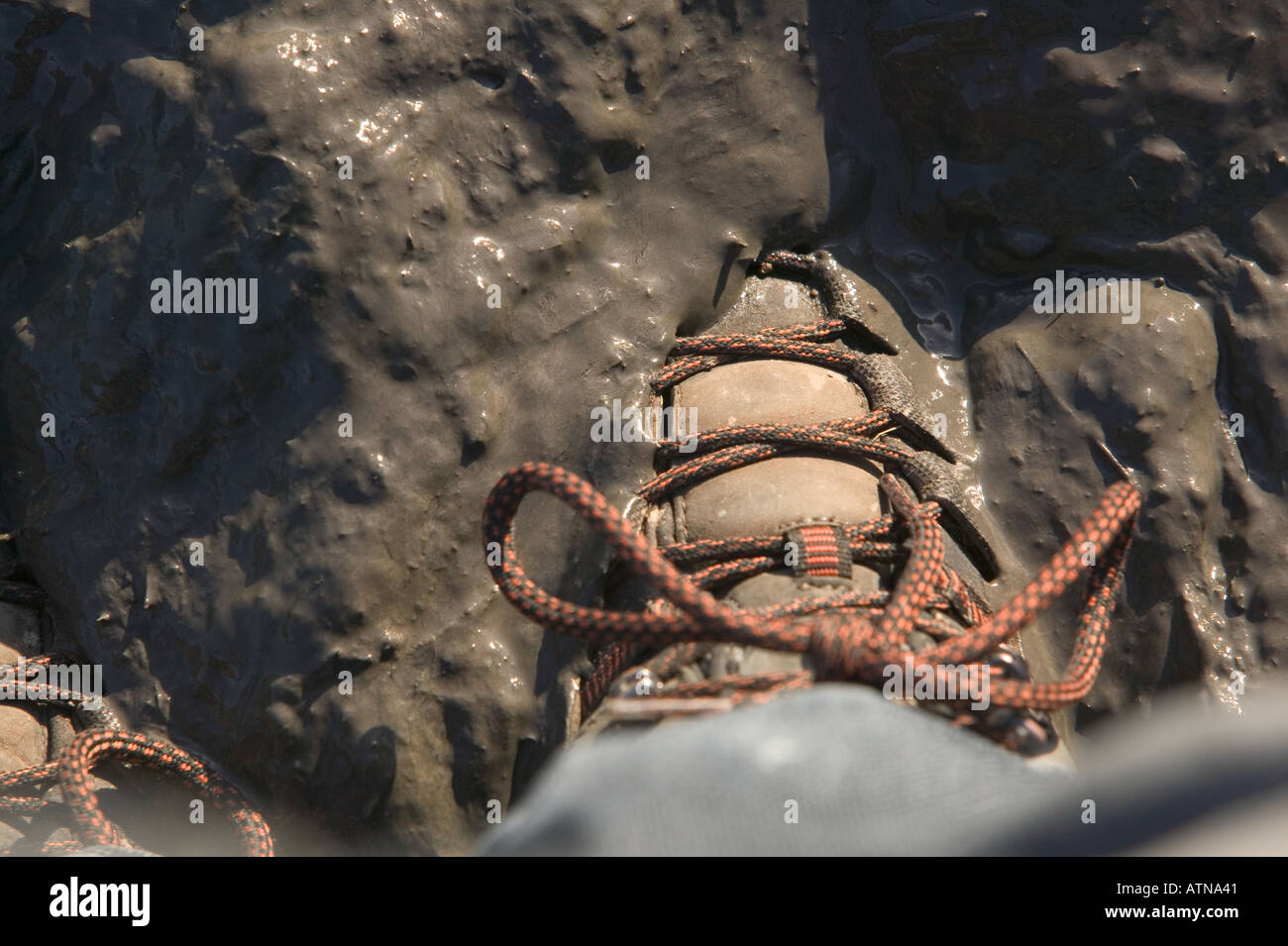 boots stuck in mud Stock Photo - Alamy