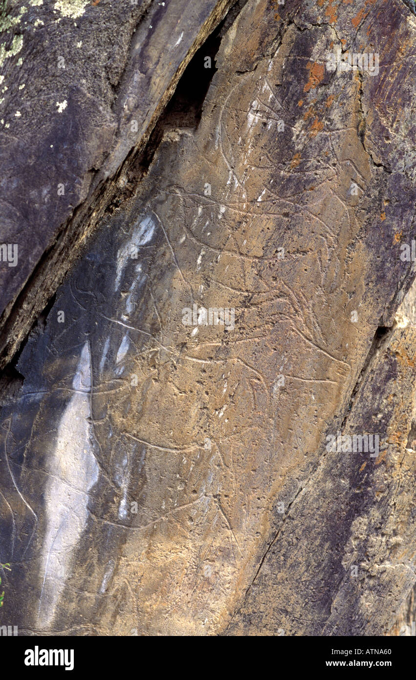 Paleolithic rock engravings discovered next to the Coa river North East ...