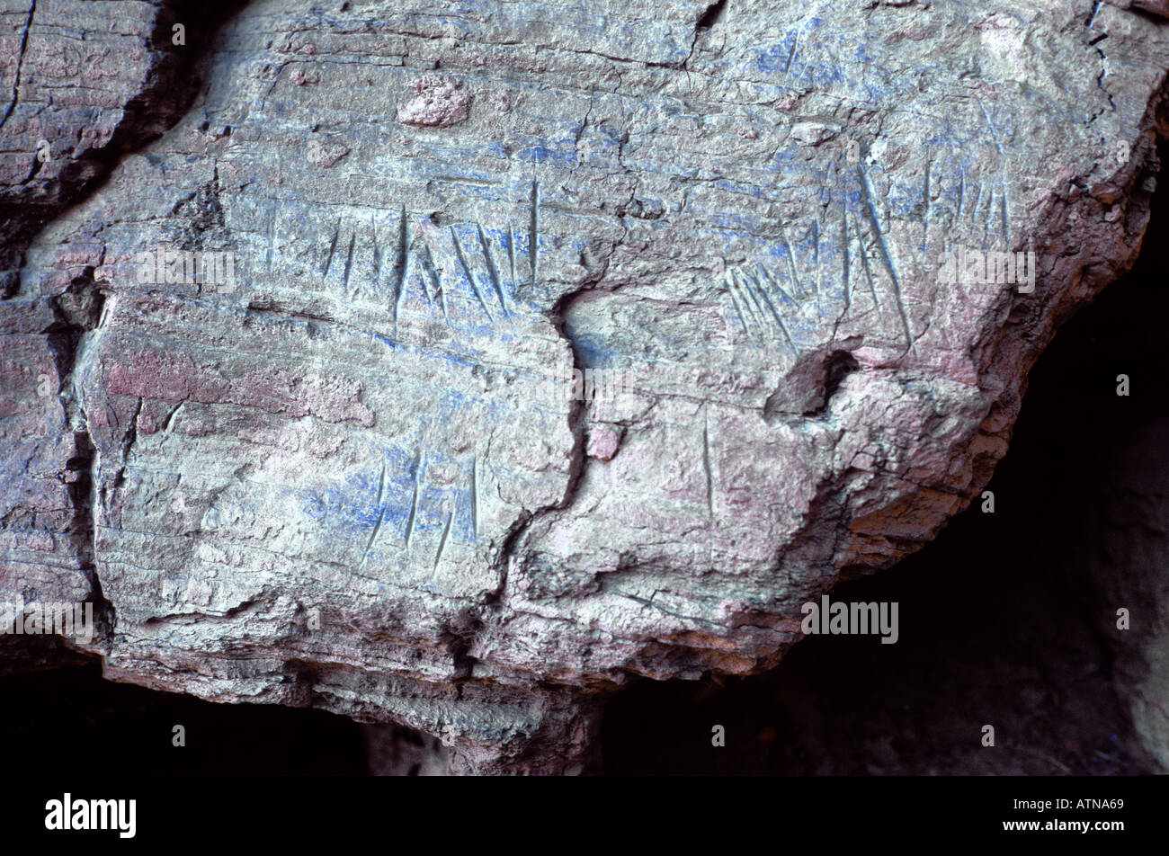 Paleolithic rock engravings discovered next to the Coa river North East ...