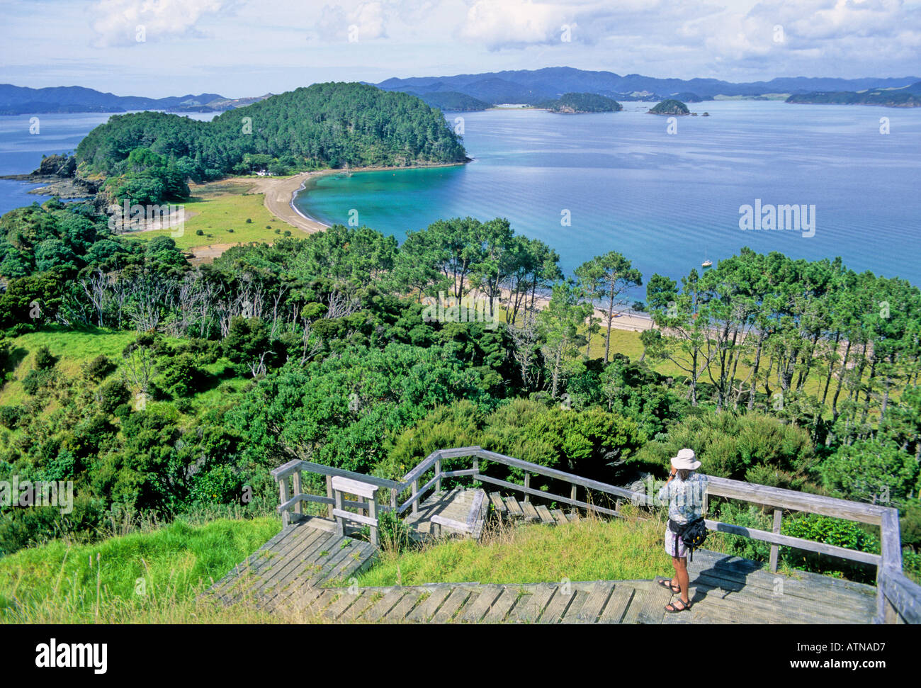 Roberton island new zealand hi-res stock photography and images - Alamy