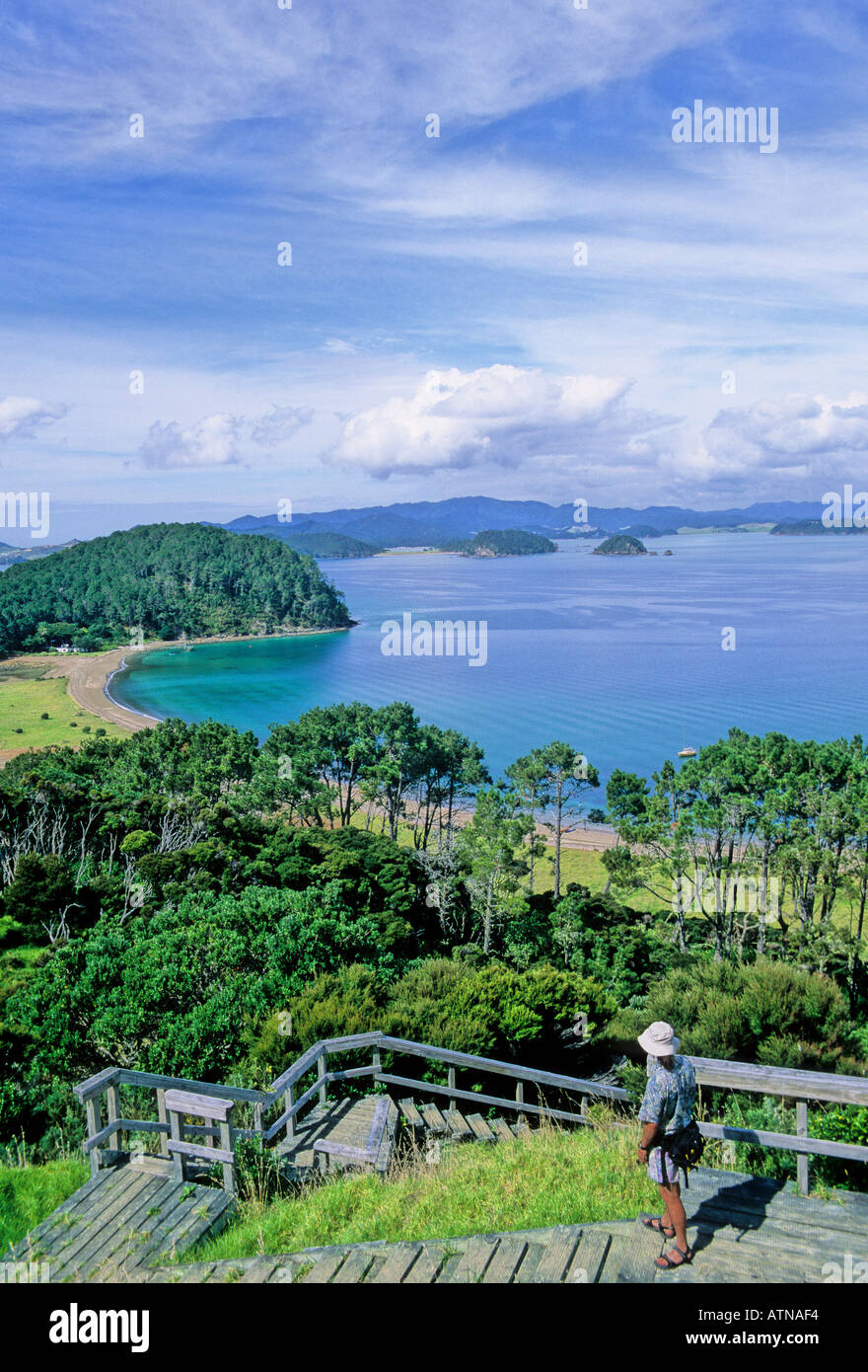 Roberton island new zealand hi-res stock photography and images - Alamy