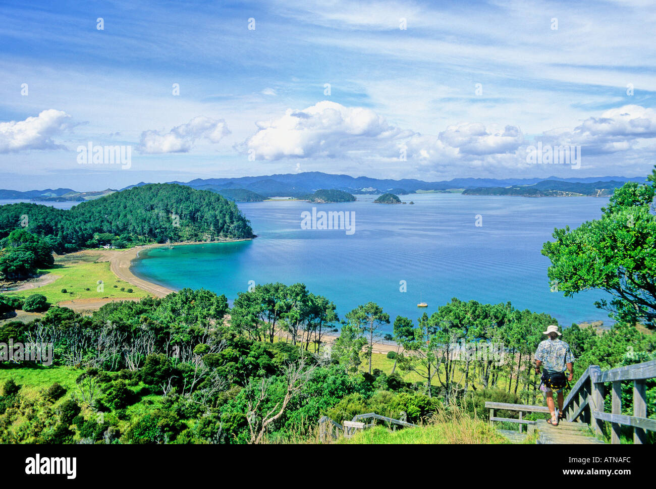 Roberton island new zealand hi-res stock photography and images - Alamy