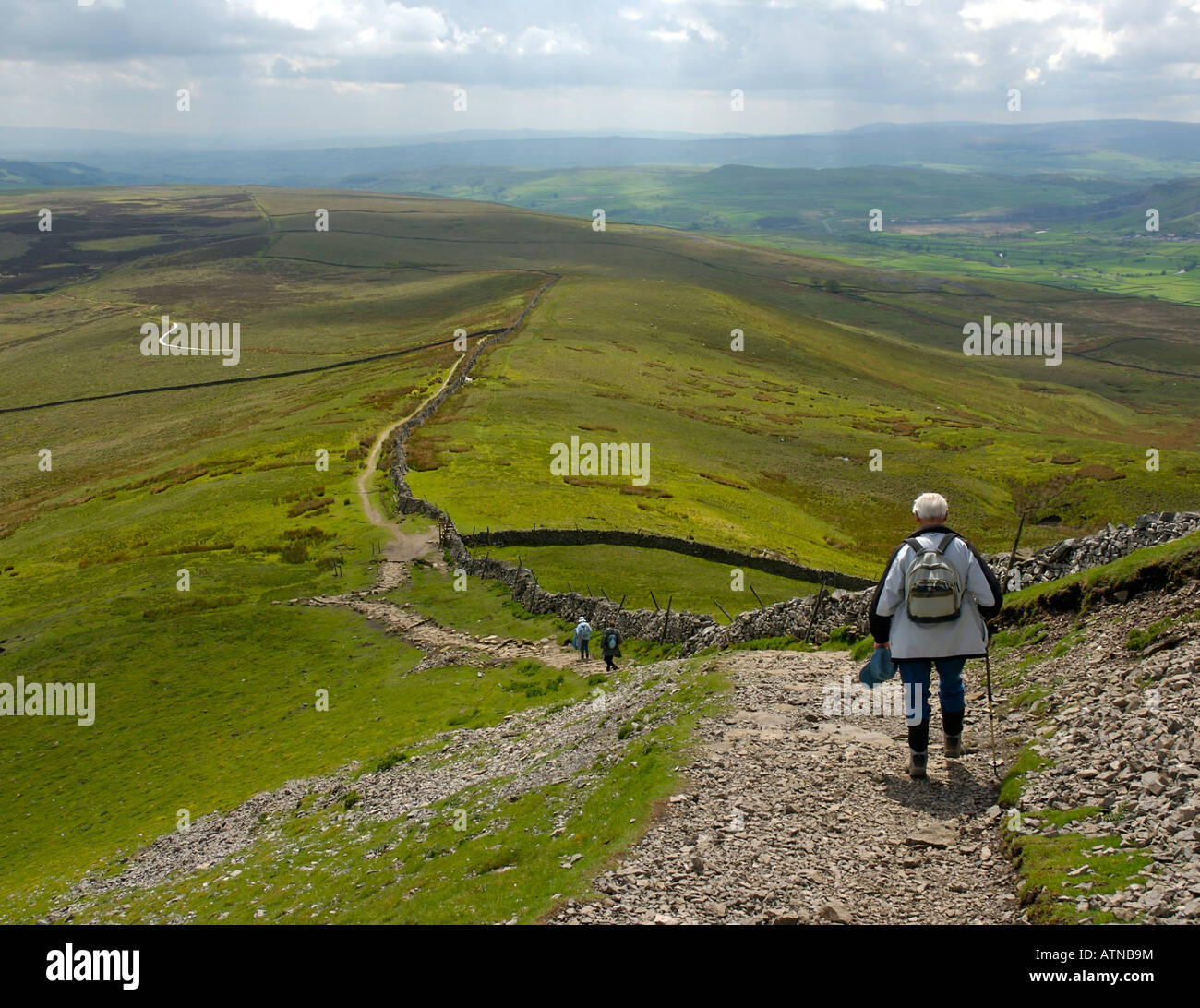 Walkers descending the path from Pen-y-Gent, on the Pennine Way ...