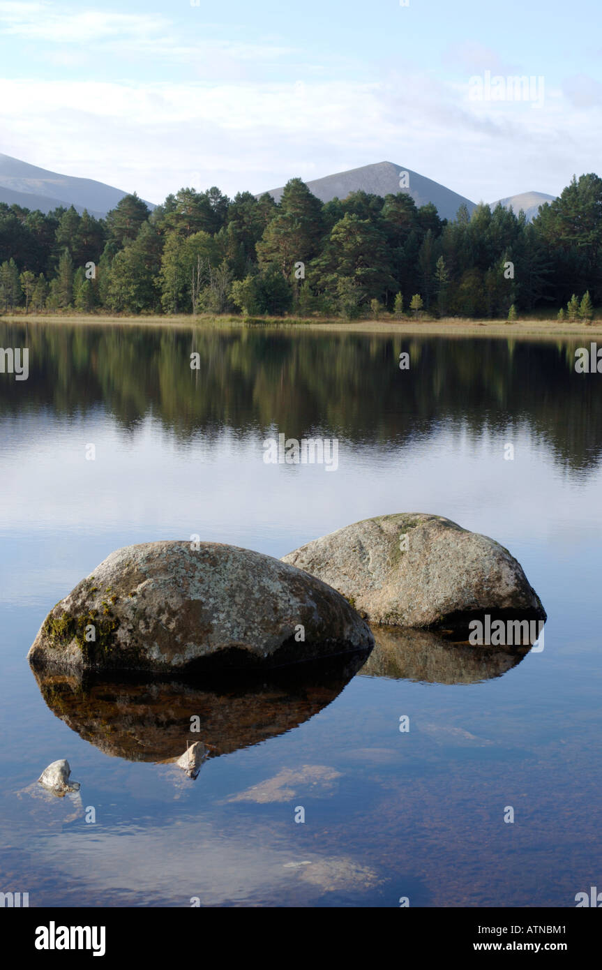 Loch Morlich Glenmore Aviemore Stock Photo - Alamy
