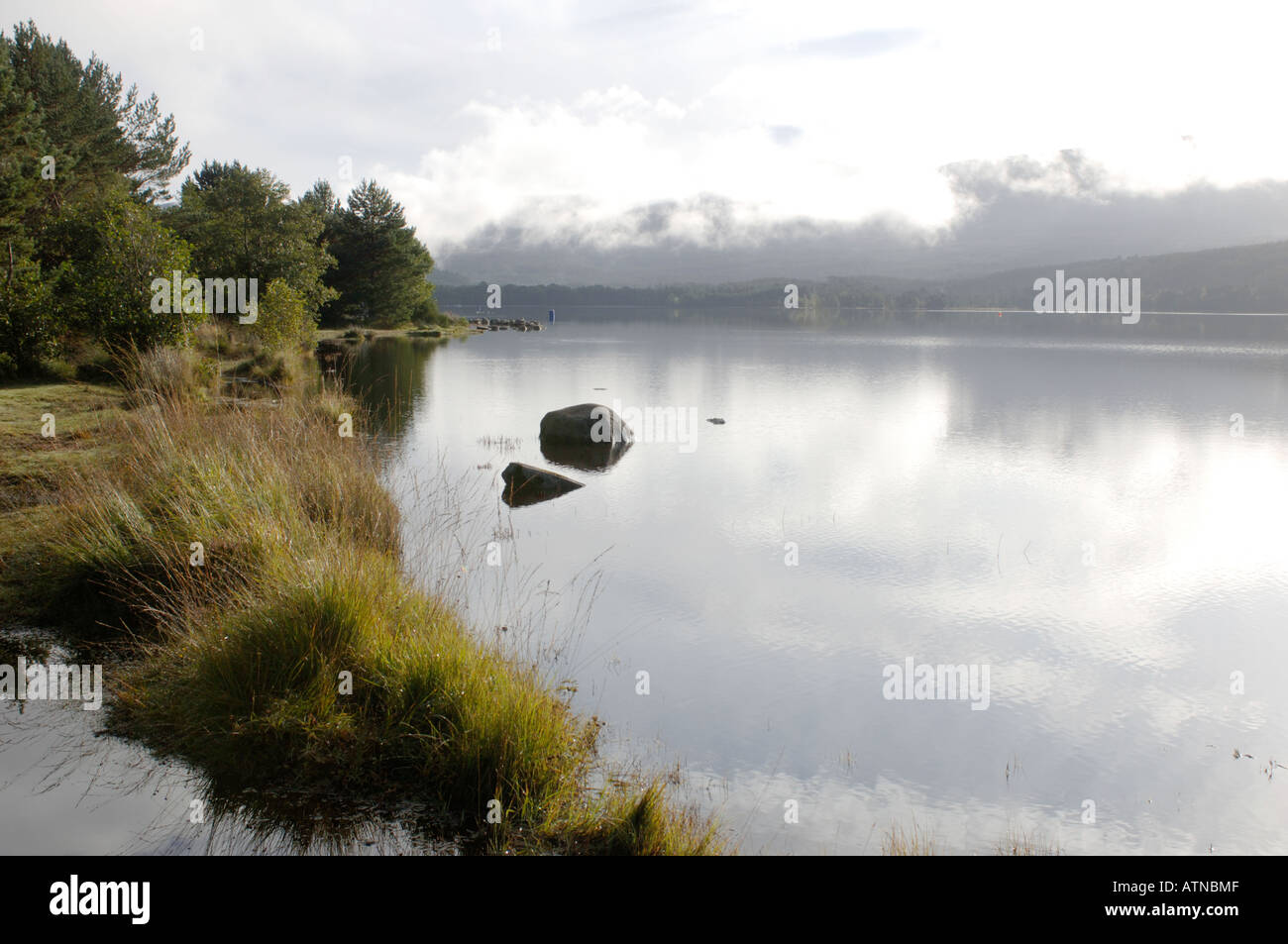 Loch Morlich Glenmore Aviemore Stock Photo - Alamy