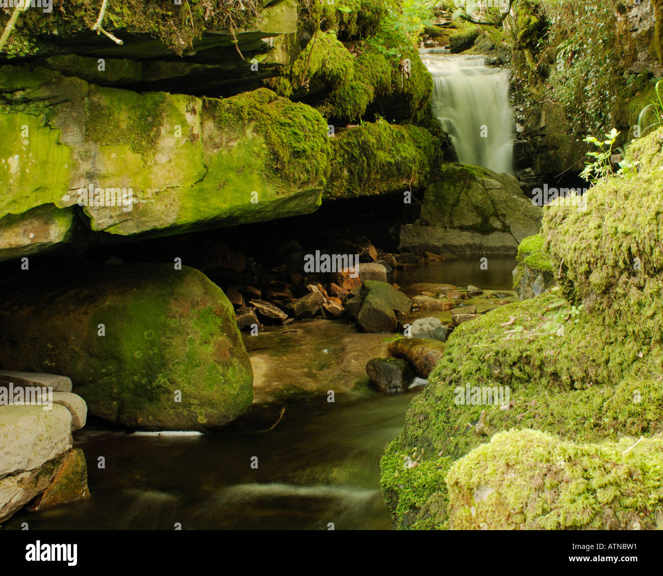 Deepdale river hi-res stock photography and images - Alamy