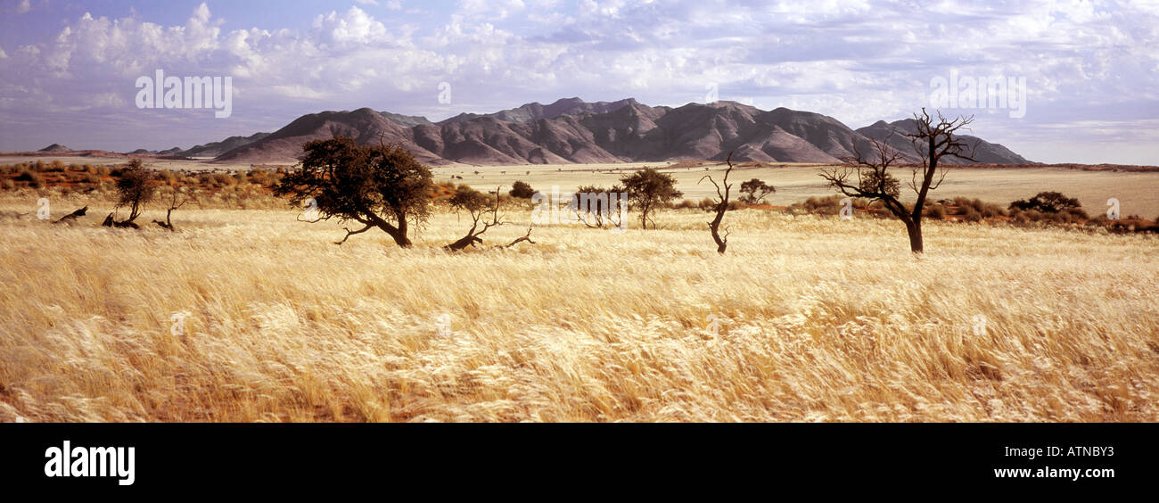 Namib Rand landscape Stock Photo - Alamy