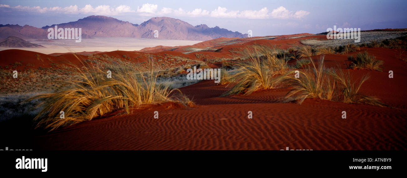 Namib Rand landscape Stock Photo - Alamy