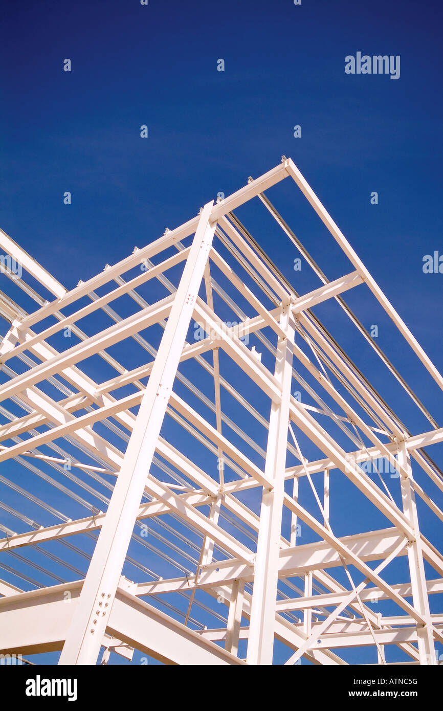 Skyscraper Skeleton Frame