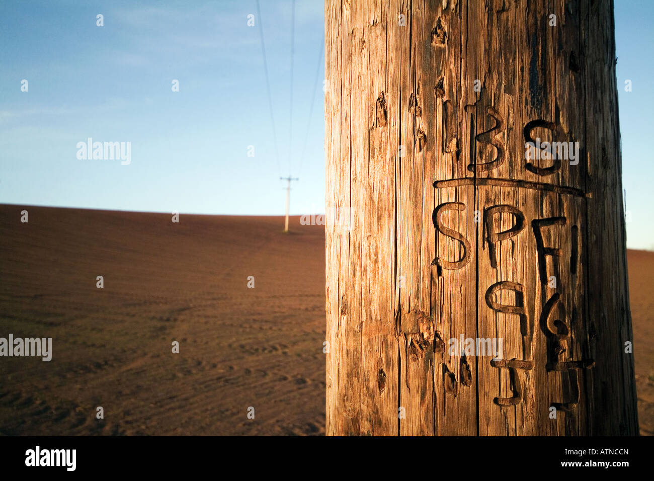 Close up of wooden electricity pole showing reference branded onto it ...