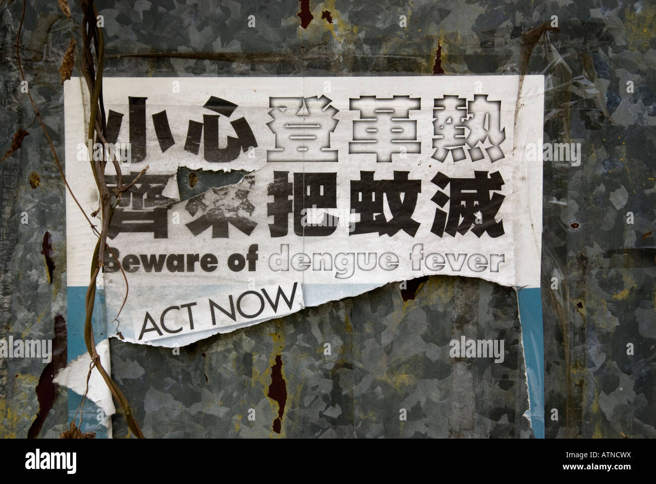 Dengue Fever poster, Hong Kong, China Stock Photo - Alamy