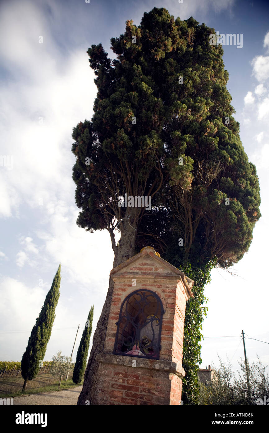 Roman road cypress tree hi-res stock photography and images - Alamy