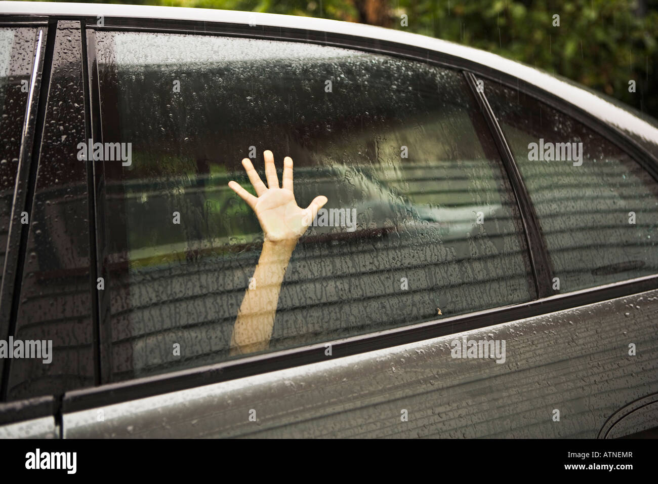 Behind glass, locked in hi-res stock photography and images - Alamy
