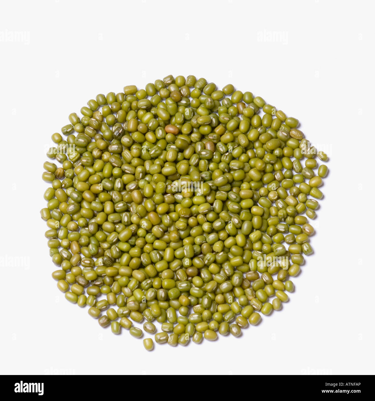 Close-up of mung beans Stock Photo - Alamy